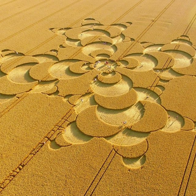 Chibolton Observatory Arecibo Response - The Crop Signals Project